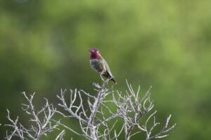 Accuracy Isn T Enough Why You Need To Rethink Ai Model Metrics Tomta Ai